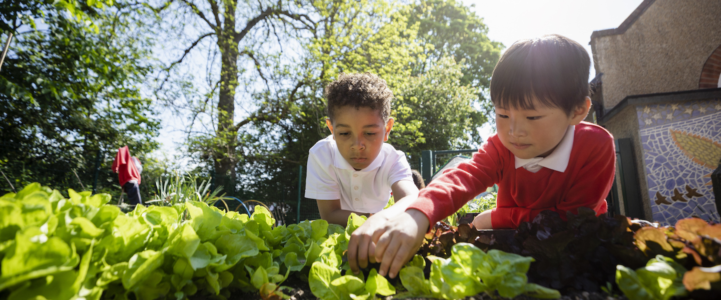 CPS releases milestone Climate Action Plan to support energy and ...